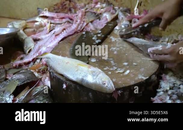 A knife rests on a wooden block with a single whole fish beside it ...