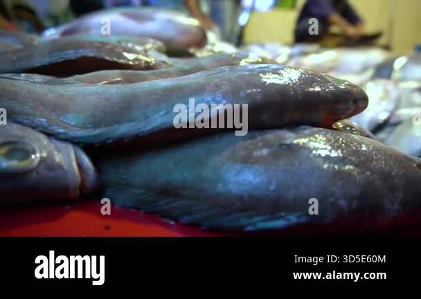 A close up of several glistening, gray fish piled on a red surface ...