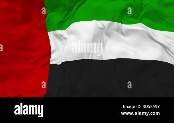 UAE Flag Seamless Looping Background, Looped Bump Texture Cloth Waving ...
