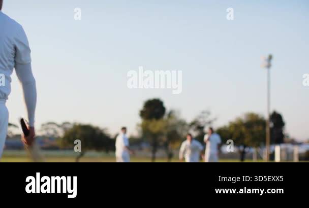 Raising bat Indian male batsman swinging bat on pitch, male fielder ...