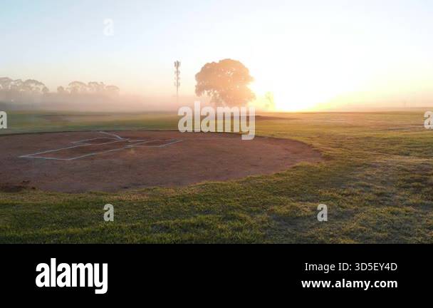 Sunrise starting behind tree lifting fog and camera gliding forward ...