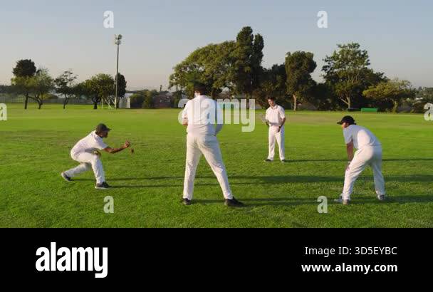 Practicing catch throw on cricket field Diverse male team throwing ...