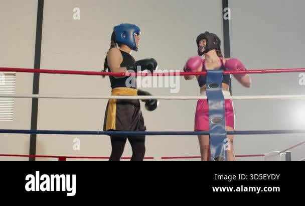 Meeting center of ring, two female boxers tapping gloves, adjusting ...