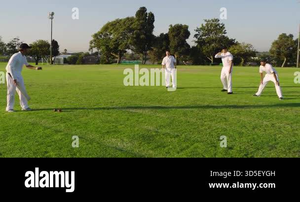 Asian Indian coach tapping, flipping red balls on turf for catch drills ...