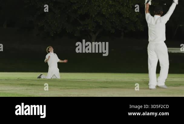 Diving on cricket pitch after shot, male cricketers grabbing ball ...
