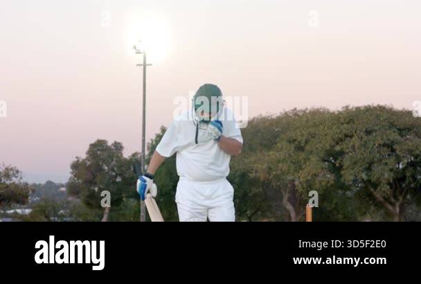 Wicket falling leading teammates bumping fists batter donning helmet ...