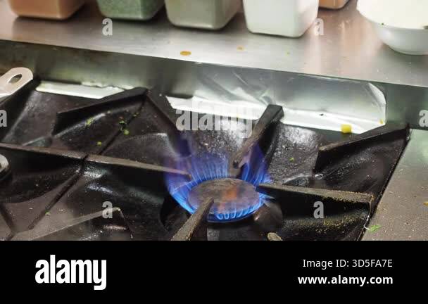 Professional chef preparing authentic indian cuisine, adding colorful ...