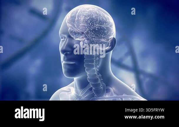 Translucent human head with glowing intricate red-blue wireframe ...