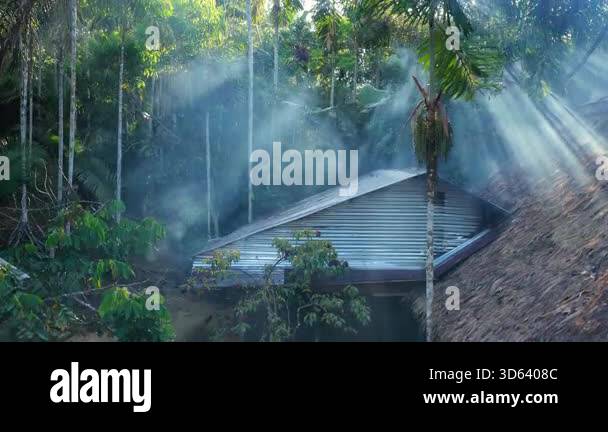 Illegal slash and burn deforestation in Amazon rainforest. Fires are ...