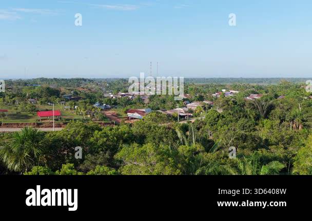 Devastating aerial view of a burning jungle clearing. Deforestation in ...