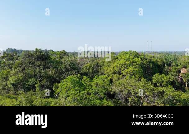 Top down aerial view of traditional canoe moored on the muddy bank of a ...