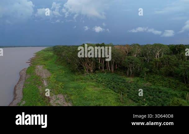 Vast expanse of the Amazon jungle landscape seen from above. Majestic ...