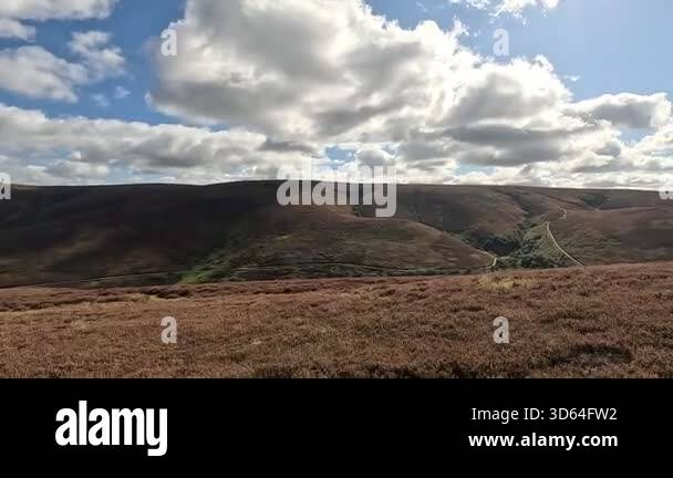 Hillwalker traversing upland moorland paths in the Lammermuir Hills of ...