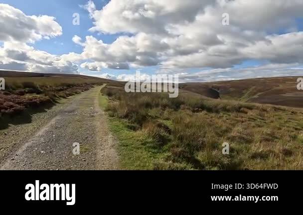 Hillwalker traversing upland moorland paths in the Lammermuir Hills of ...