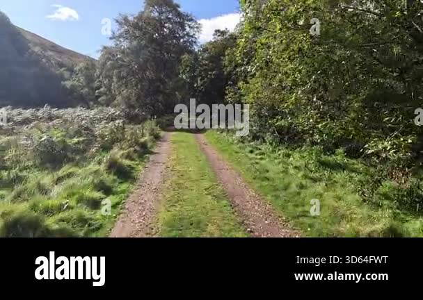 Hillwalker traversing upland moorland paths in the Lammermuir Hills of ...
