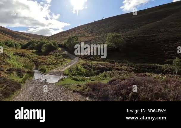 Hillwalker traversing upland moorland paths in the Lammermuir Hills of ...
