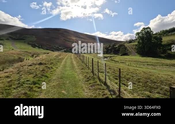 Hillwalker traversing upland moorland paths in the Lammermuir Hills of ...