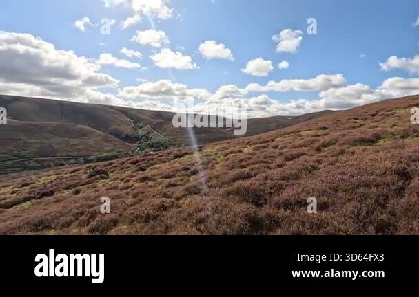 Hillwalker traversing upland moorland paths in the Lammermuir Hills of ...