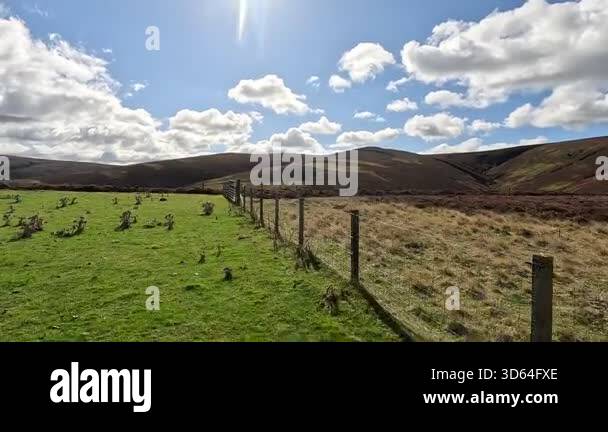 Hillwalker traversing upland moorland paths in the Lammermuir Hills of ...