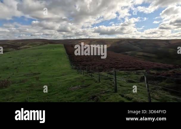 Hillwalker traversing upland moorland paths in the Lammermuir Hills of ...