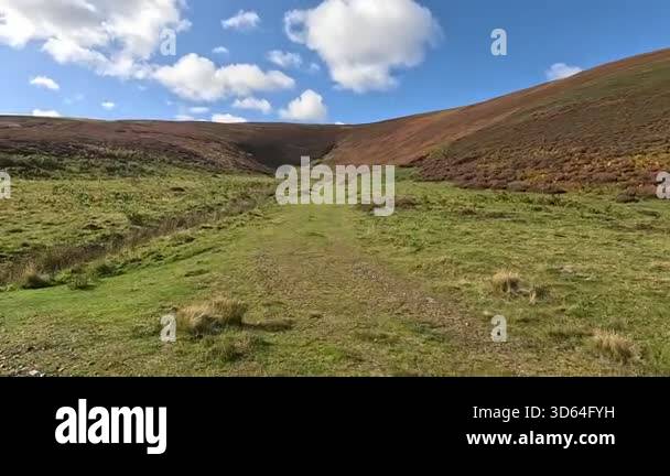 Hillwalker traversing upland moorland paths in the Lammermuir Hills of ...