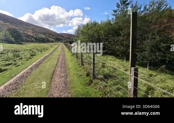 Hillwalker traversing upland moorland paths in the Lammermuir Hills of ...