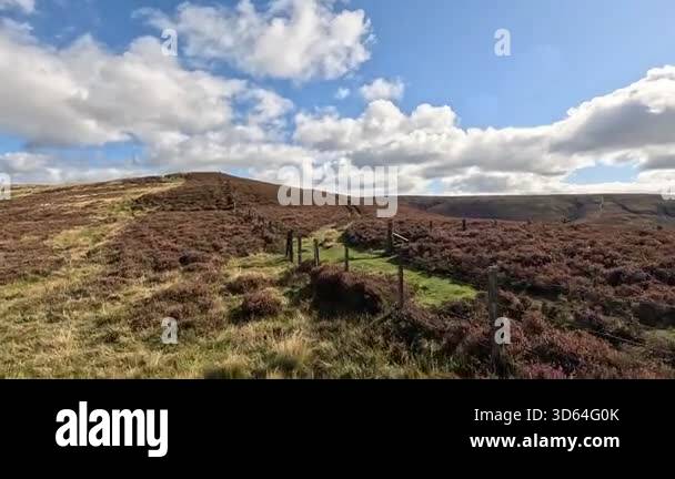 Hillwalker traversing upland moorland paths in the Lammermuir Hills of ...