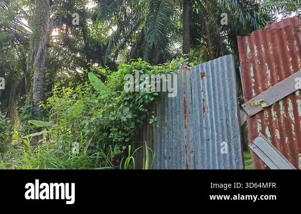 Scene at the rusty zinc roofing sheet being used as entrance gate into ...