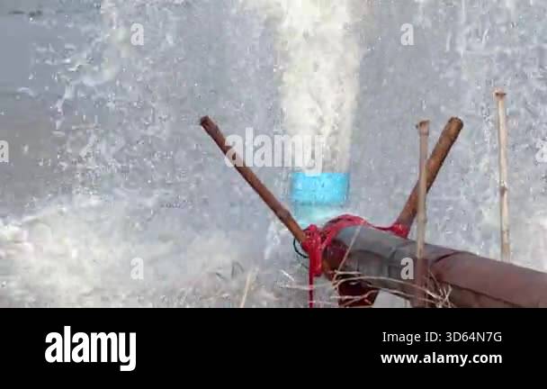 Water gushing from a PVC pipe in a rice field, Watering pipe, used for ...