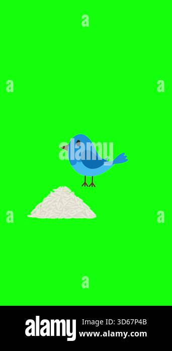 Bird green screen video Stock Videos & Footage - HD and 4K Video Clips ...