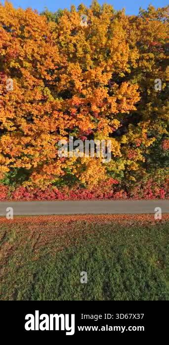 Smooth drone flight moving sideways above road surrounded by colorful ...