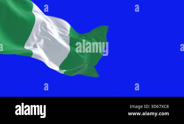 Nigerian flag waving in the wind isolated on blue background. Seamless ...