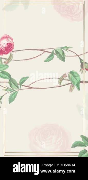 A beautifully animated floral frame featuring delicate pink roses and ...