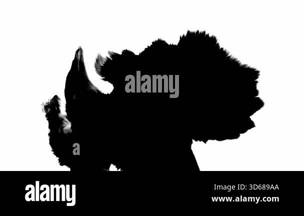 versatile black ink animations with moody textures suitable for ...