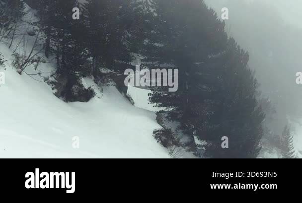 Fog and mist moving in cold wind on a winter mountain forest landscape ...