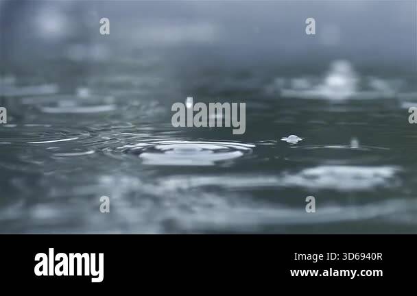 Close-up of raindrops falling into a puddle, forming gentle circular ...