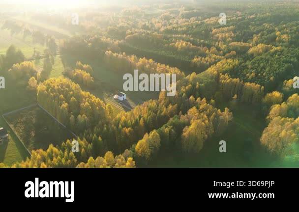 Cabin in wilderness among colorful trees Stock Video Footage - Alamy