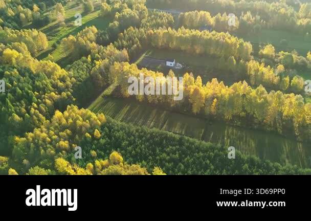 Small white house in golden autumn woods Stock Video Footage - Alamy