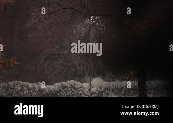 Snow falling under streetlight at night illuminating frozen branches in ...