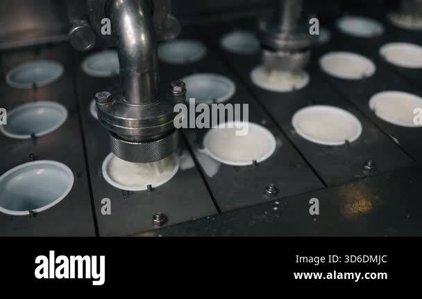 Robotic machine filling plastic cups with creamy yogurt on an ...