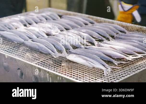 Slow motion closeup showing fish grilling on barbecue rack with rising ...