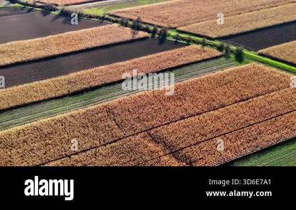 Top-down drone view of farmland strips in autumn colors, pattern of ...