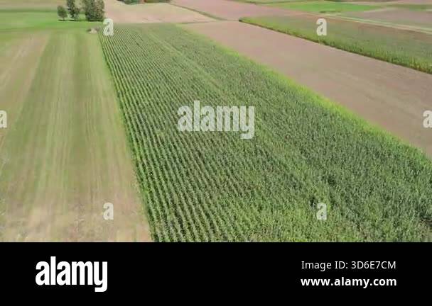 Aerial top-down shot of farmland divided into sections with varying ...