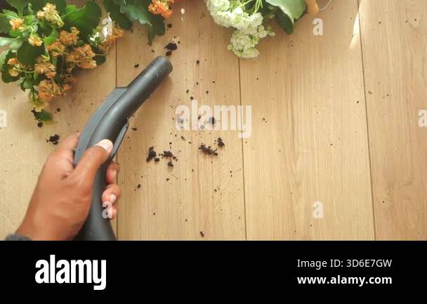 A hand uses a vacuum to clean dirt from potted plants on the floor ...
