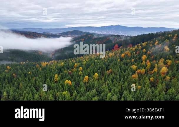 drone surveys mountain valley fog, aerial shot capturing fog over ...