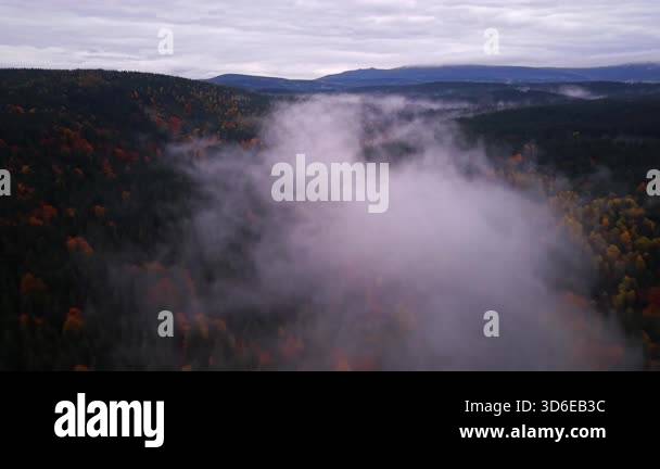 autumn mist conceals mountain peaks, aerial shot capturing foggy hills ...