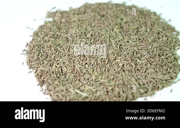 Health cumin plant Stock Videos & Footage - HD and 4K Video Clips - Alamy