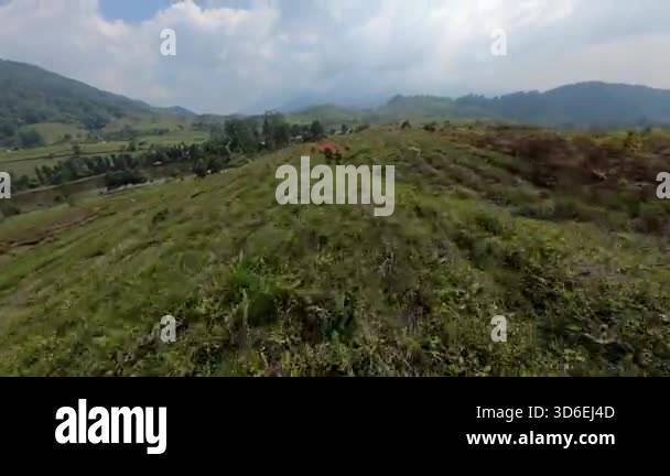 FPV drone shot of a hillside path surrounded by lush green field and ...