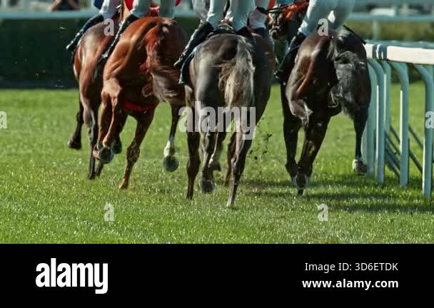 Super Slow Motion of Running Horses on Derby in Detail of Horses Legs ...