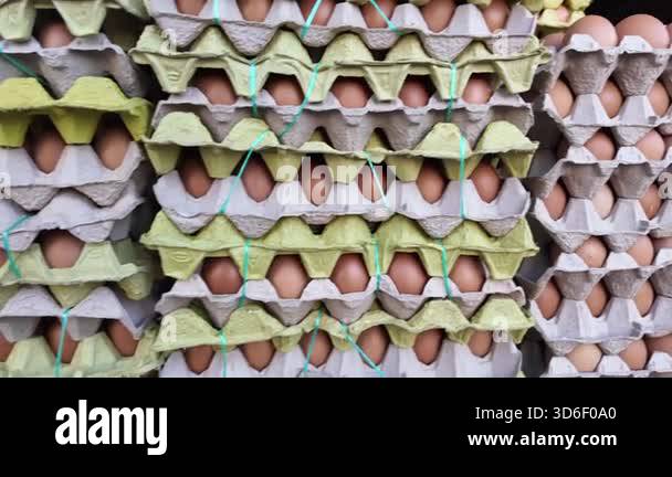Cartons filled with fresh eggs are organized in a market display Stock ...